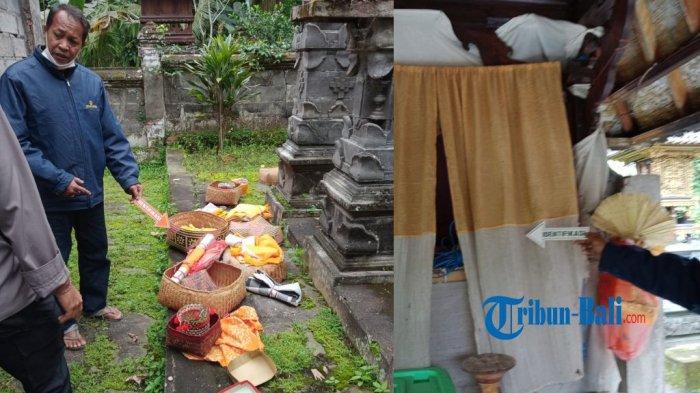 6 Pucuk Bunga Emas di Pura Paibon Pasek Toh Jiwa Digasak Maling ...