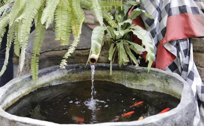 Keramik Percantik Dinding Kolam - Tribun-bali.com