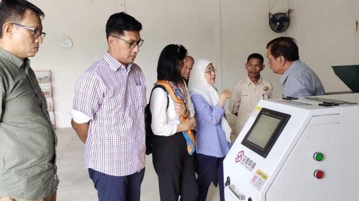 Dibantu KBRI Belanda, Lada Kacang Butor Belitung Bakal Tebus Pasar ...