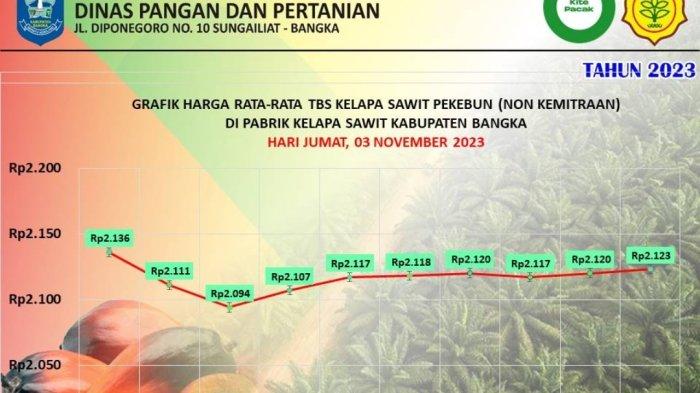 Harga TBS Sawit di Bangka Naik Perlahan, Ini Harga Terkini di 9 ...