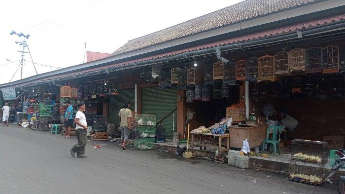 Tempati Kios Baru, Pedagang Pasar Burung Kota Pangkalpinang Sebut Lebih Nyaman dan Rapi ...