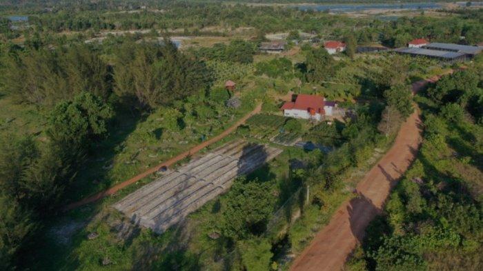Berapa Luas Lahan Eks Tambang Yang Direklamasi Pada 2023 Apa Bentuk