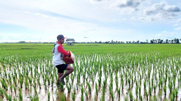 Dijanjikan Gaji Minimal Rp10 Juta Sebulan, Begini Cara Daftar Program Petani Milenial ...