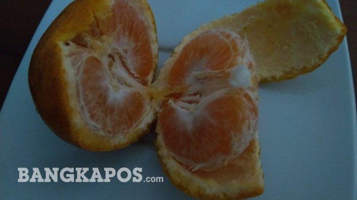 Inilah Vitamin Rambut Untuk Pria Yang Aman Digunakan - Bangkapos.com