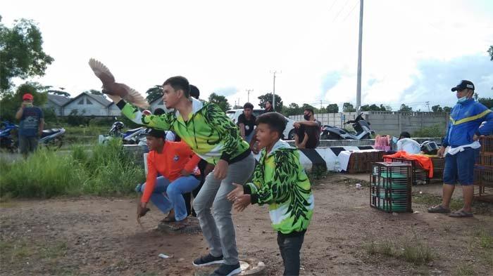 Adu Cepat Burung Merpati di Babel Mulai Diminati Pehobi - Bangkapos.com
