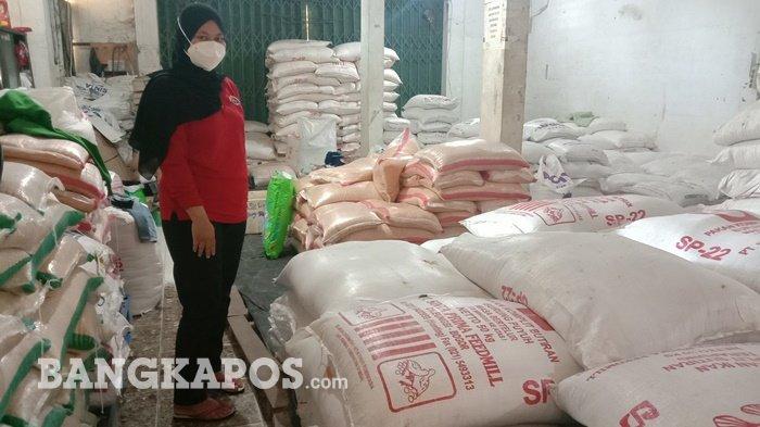 Harga Pakan Ternak di Acun Aquarium Pangkalpinang Naik, Berkisar Rp1 ...