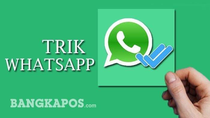 Cara Membuat Stiker Bergerak atau GIF di WhatsApp dengan Mudah, Bisa di ...