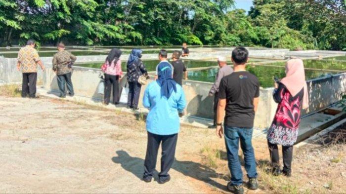 Tak Ada Aktivitas Pembibitan Ikan, BBIL Pangkalpinang Jadi Sorotan DPRD ...
