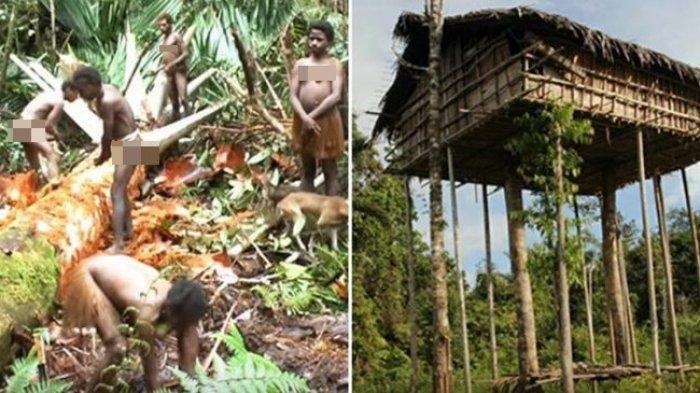 Inilah Suku Korowai di Papua, 'Bertengger' di Atas Pohon, Mereka Tidak Tahu Ada Manusia Lain di ...