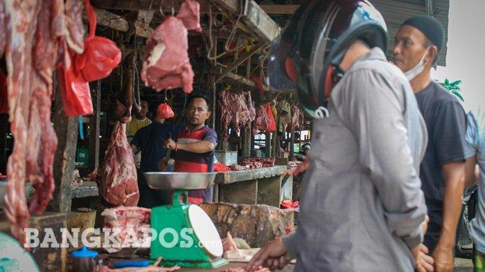 Penuhi Konsumsi Daging Sapi di Babel, Akademisi Sarankan Pemda Berikan ...