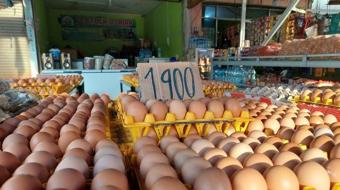 Geliat Harga Telur dan Inflasi - Bangkapos.com