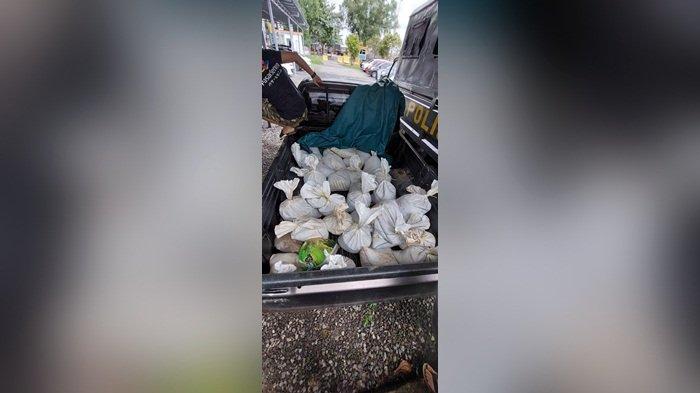 Tiga Penambang Timah di Kawasan Hutan Konservasi Ditangkap Polisi, 1 Ton Pasir Timah Diamankan ...