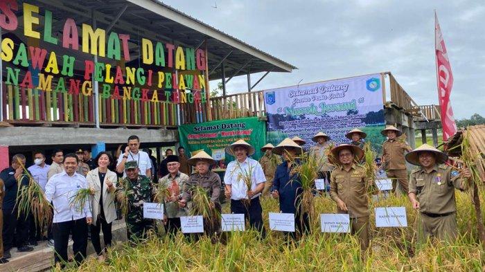 Uniknya Adat Murok Jerami di Desa Namang Bangka Tengah, Wujud Syukur ...