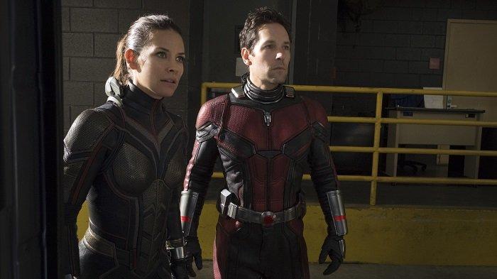 Sinopsis Film Ant Man 3: Trailer, Musuh, Jadwal Tayang, dan Pemain ...