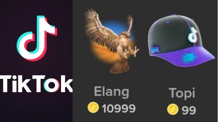 Berapa Harga Gift Elang, Topi, Kalung, dan Kereta? Ini Daftar Harga Semua Gift TikTok Terbaru ...