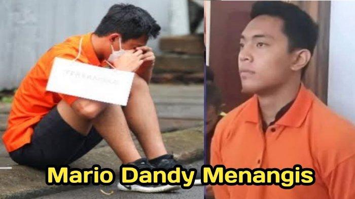 Sosok APA Disebut-sebut Sebagai Pembisik Mario, Pihak David: Fokus ke Pelaku yang Ada di TKP ...