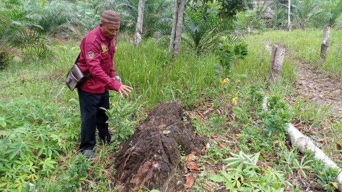 Sosok Syeikh Jati Suara, Tokoh Penyebar Islam Bangka, Suara Adzannya ...
