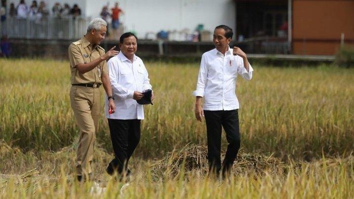 MENARIK, Ini Pasangan Capres Cawapres 2024 Ideal untuk Prabowo Menurut Survei Litbang Kompas ...