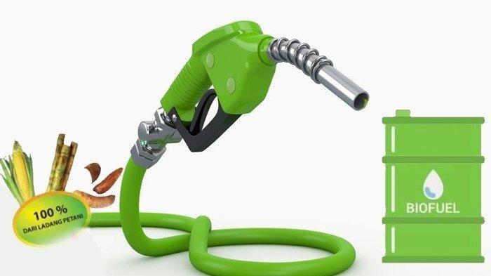 Inilah Bioetanol, BBM Baru Pertamina dari Tebu yang Perdana Akan Dijual ...