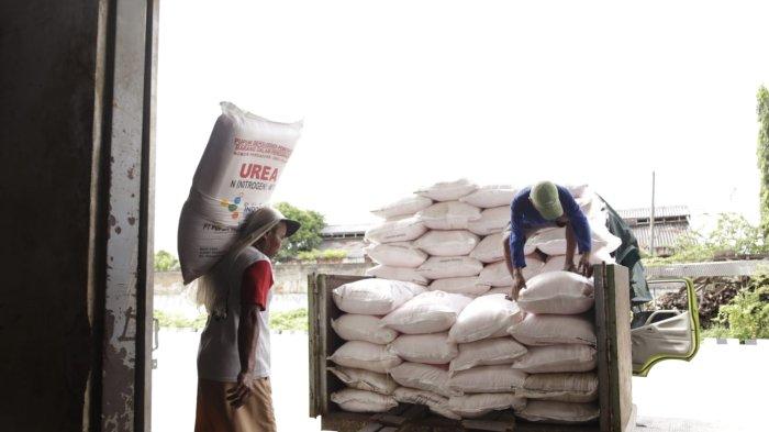 i-Puber Aplikasi Penyaluran Pupuk Subsidi Tepat Sasaran Bakal Siap Diterapkan di Bangka Belitung ...