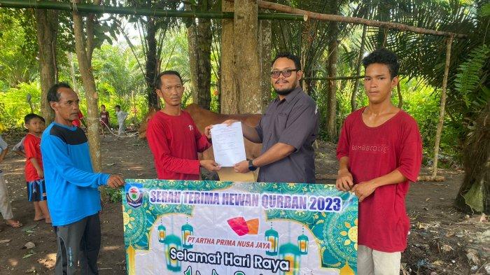 PT RBT Grup Kembali Berkurban di Bangka Belitung, 94 Hewan Kurban ...