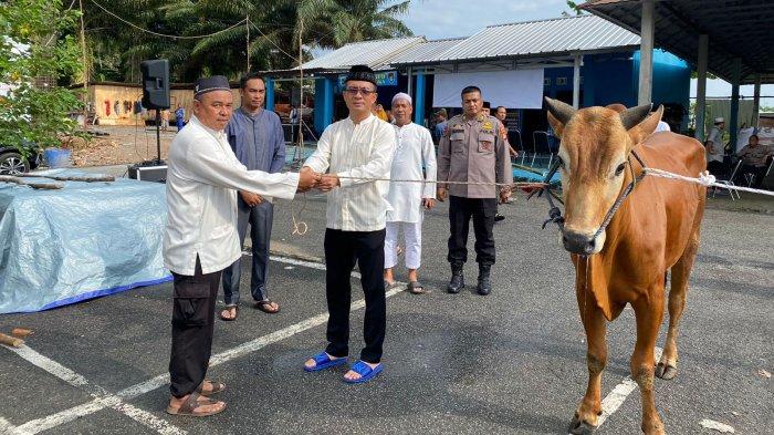 Kapolres Bangka Serahkan 10 Sapi dan 3 Kambing untuk Kurban dan Disebar ke Polsek - Bangkapos.com