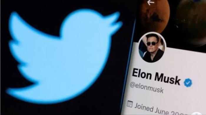 Twitter Error, Pengguna Buat Tagar Twitter Down, Kenapa? Ini Kata Elon ...