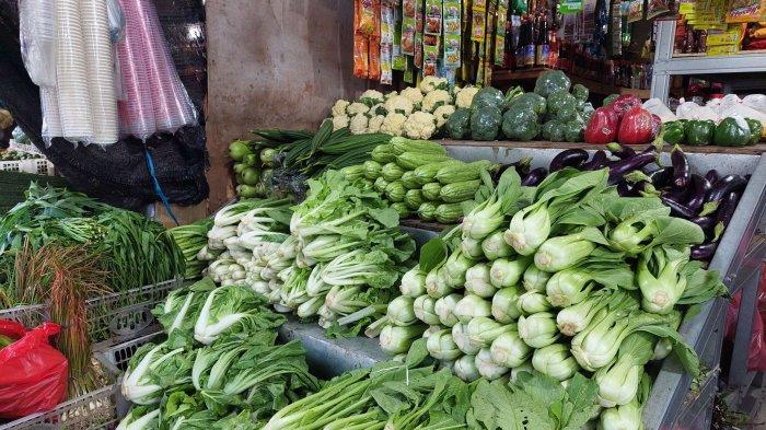 Sempat Turun dan Dikeluhkan Petani, Kini Harga Sayuran Sawi Alami ...