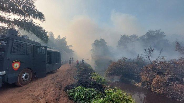5 Hektar Lahan Gambut di Desa Mapur Bangka Terbakar, Cegah Meluas ...