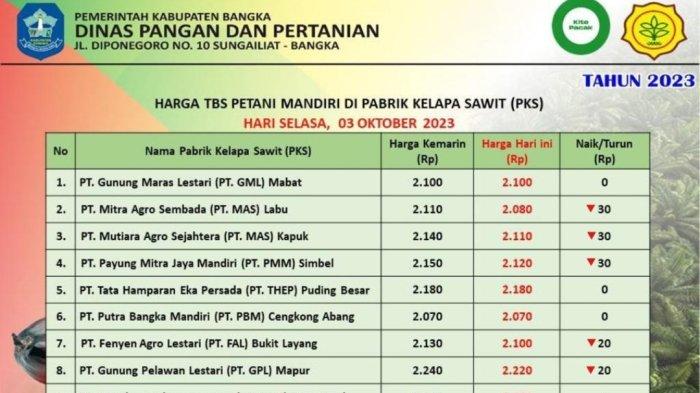 Hari Ini 5 Perusahaan Sawit di Bangka Turunkan Harga Beli TBS Sawit ...
