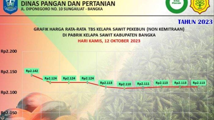 Tiga Hari Harga TBS Sawit di Bangka Tak Bergerak, Pengepul Beli Rp 1. ...