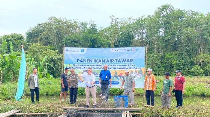 BI Dorong Budidaya Ikan Air Tawar dan Panen Bersama Pokdakan Pinang ...