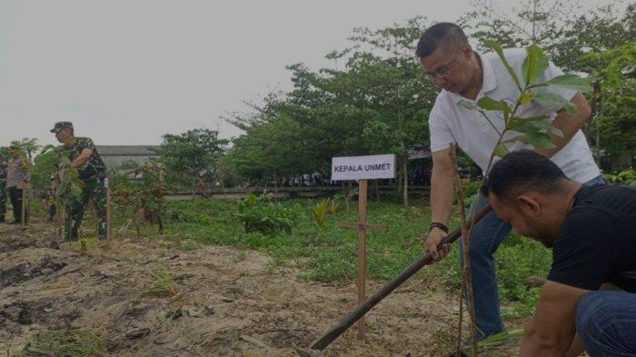 Dukung HUT Kodam dan Upaya Cegah Banjir, PT Timah Tbk Tanam Ratusan Pohon Mangrove dan Pucuk ...