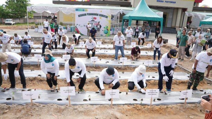 Tekan Inflasi, Pemkab Tanam 20.000 Bibit Cabai di Halaman Belakang Kantor Bupati Bangka ...