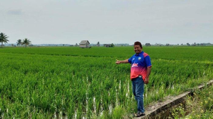Cara Daftar Petani Milenial 2024, Gajinya Rp10 Juta Perbulan - Bangkapos.com