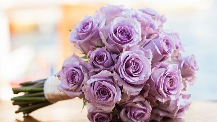 INGAT Jangan Asal Kasih Mawar, Ini 9 Warna Bunga Mawar yang Memiliki ...