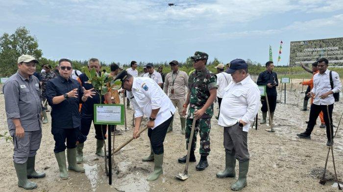 KLHK Sebut Rehabilitasi Mangrove Bangka Belitung Bisa Jadi Role Model di Indonesia - Bangkapos.com