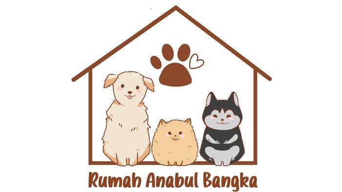 Rumah Anabul Bangka Hadir untuk Menjawab Kegalauan Para Pet Owner ...
