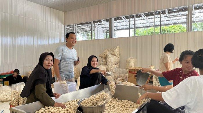 Produksi Getas Makanan Khas Bangka Menurun Jelang Lebaran, Tahun Lalu ...