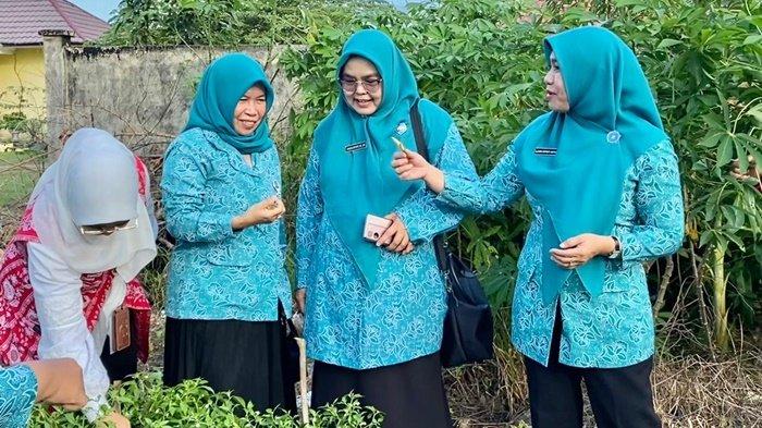 Pj Ketua TP PKK Safriati Safrizal Panen Cabai Bersama Warga UPTD-PSBLH ...