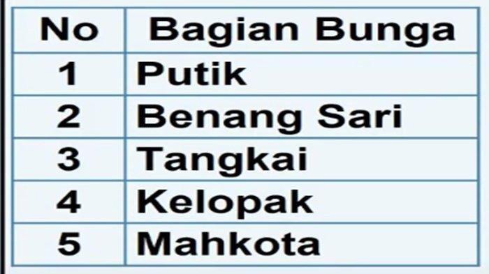 25 Soal Ujian dan Kunci Jawaban IPAS Kelas 4 SD Pilihan Ganda, Materi ...