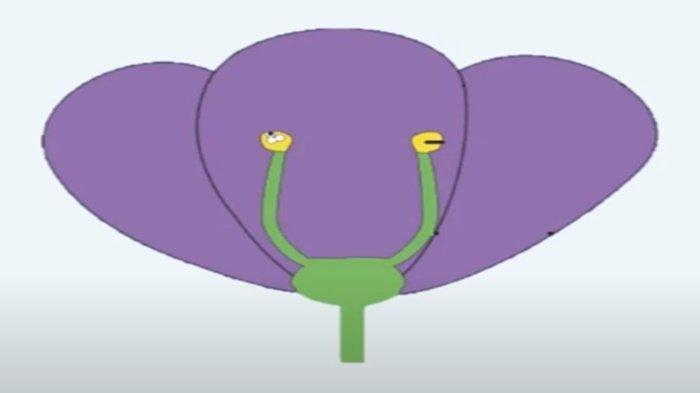 25 Soal Ujian dan Kunci Jawaban IPAS Kelas 4 SD Pilihan Ganda, Materi ...