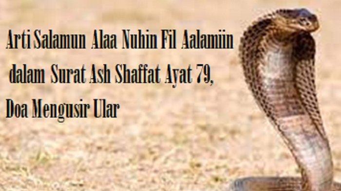 Arti Salamun Alaa Nuhin Fil Aalamiin dalam Surat Ash Shaffat Ayat 79, Doa Mengusir Ular ...