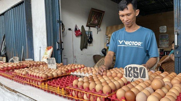 Harga Jual Telur Ayam di Pasar Pangkalpinang Stabil, Mulai Rp1.700 ...