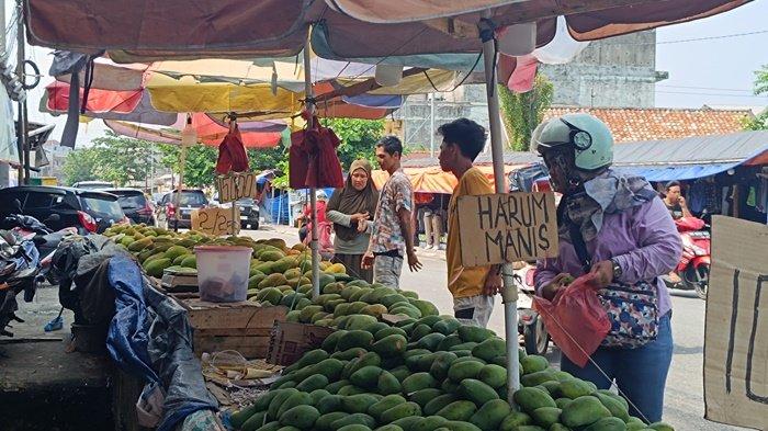 Musim Panen Mangga, Pedagang Musiman Padati Jalan Trem Pangkalpinang, Arum Manis hingga ...