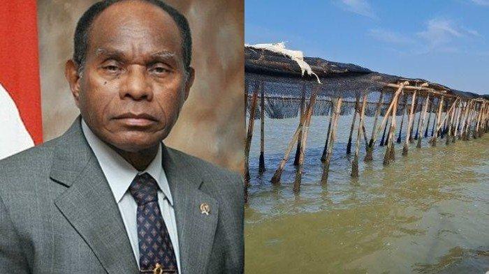 Sosok Freddy Numberi Diduga Komisaris 2 PT HGB Pagar Laut, Menteri ...