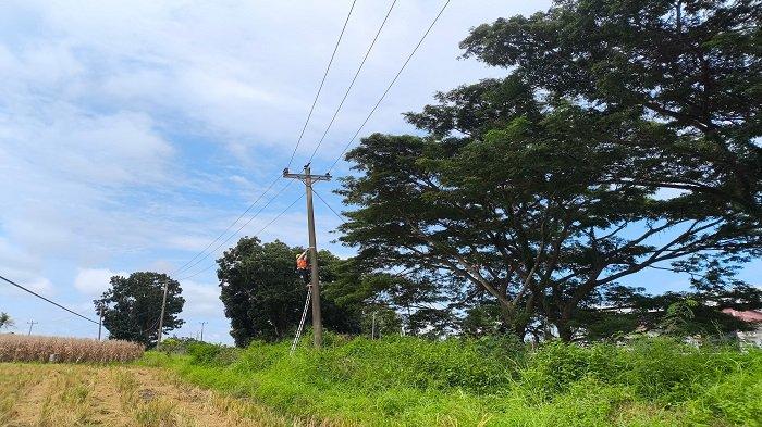 PLN Icon Plus Rutin Lakukan Penataan Kabel Fiber Optic di Wilayah Sumbagsel Sepanjang April 2025 ...