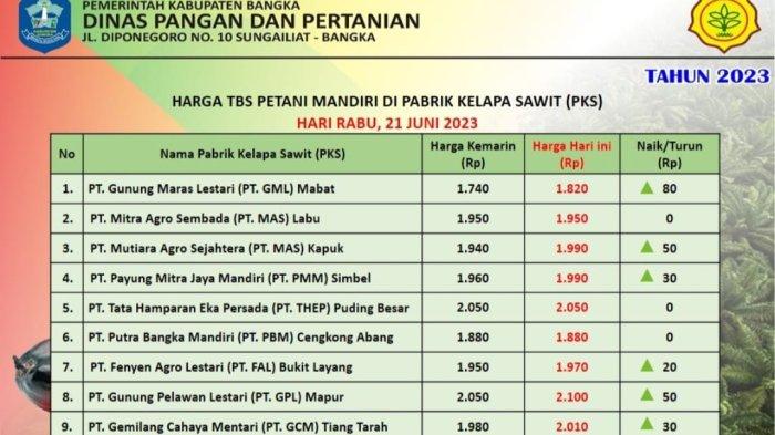 Harga TBS Sawit di Bangka Mulai Tembus di Atas Rp 2.000 Per Kilogram ...