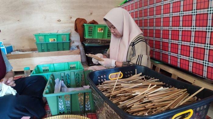 Diperkenalkan di Amerika Serikat, Sedotan Purun dari Belitung Kini ...