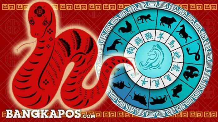 Daftar 12 Shio China Lengkap dengan Karakteristiknya, Ini Ramalan di ...